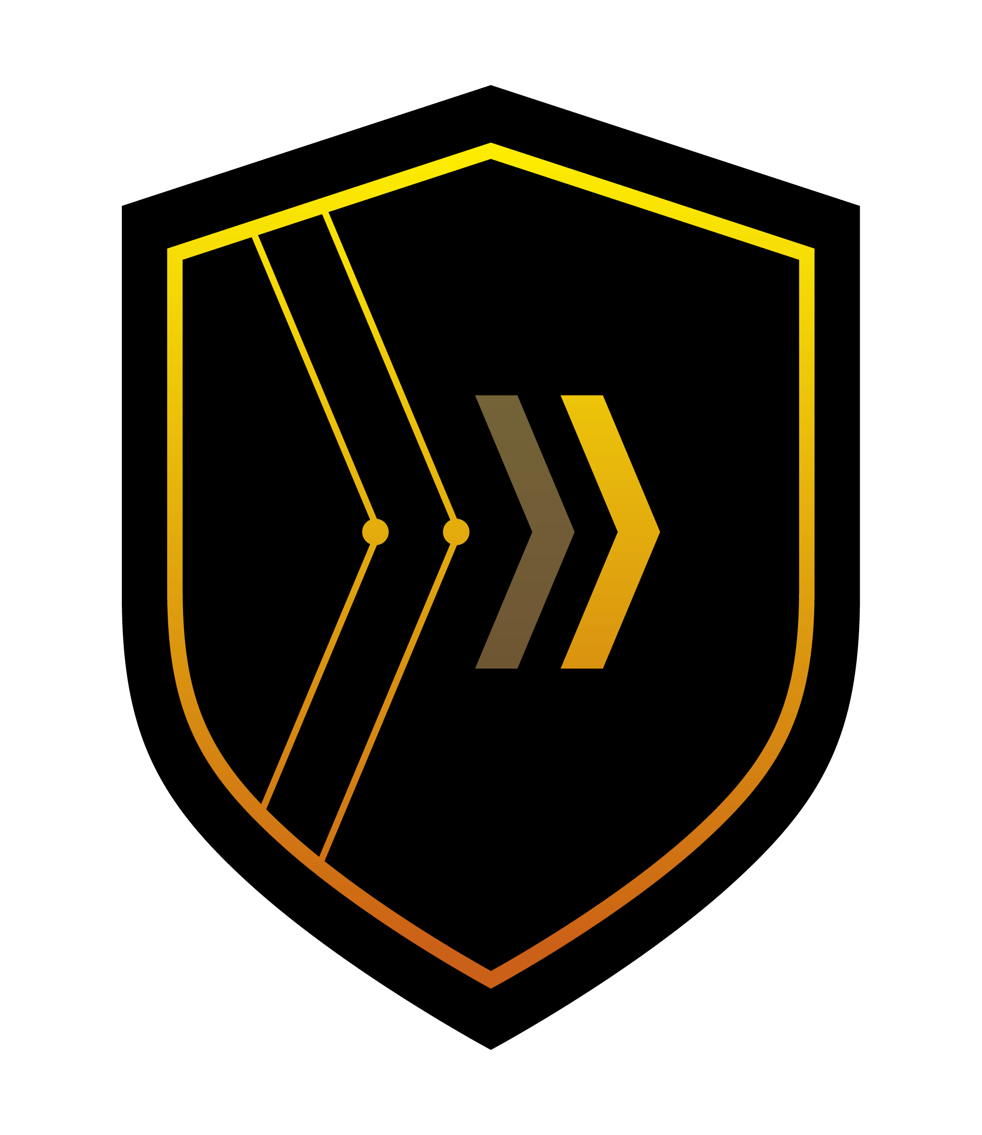 VirtualSecure.cl – VirtualSecure.cl